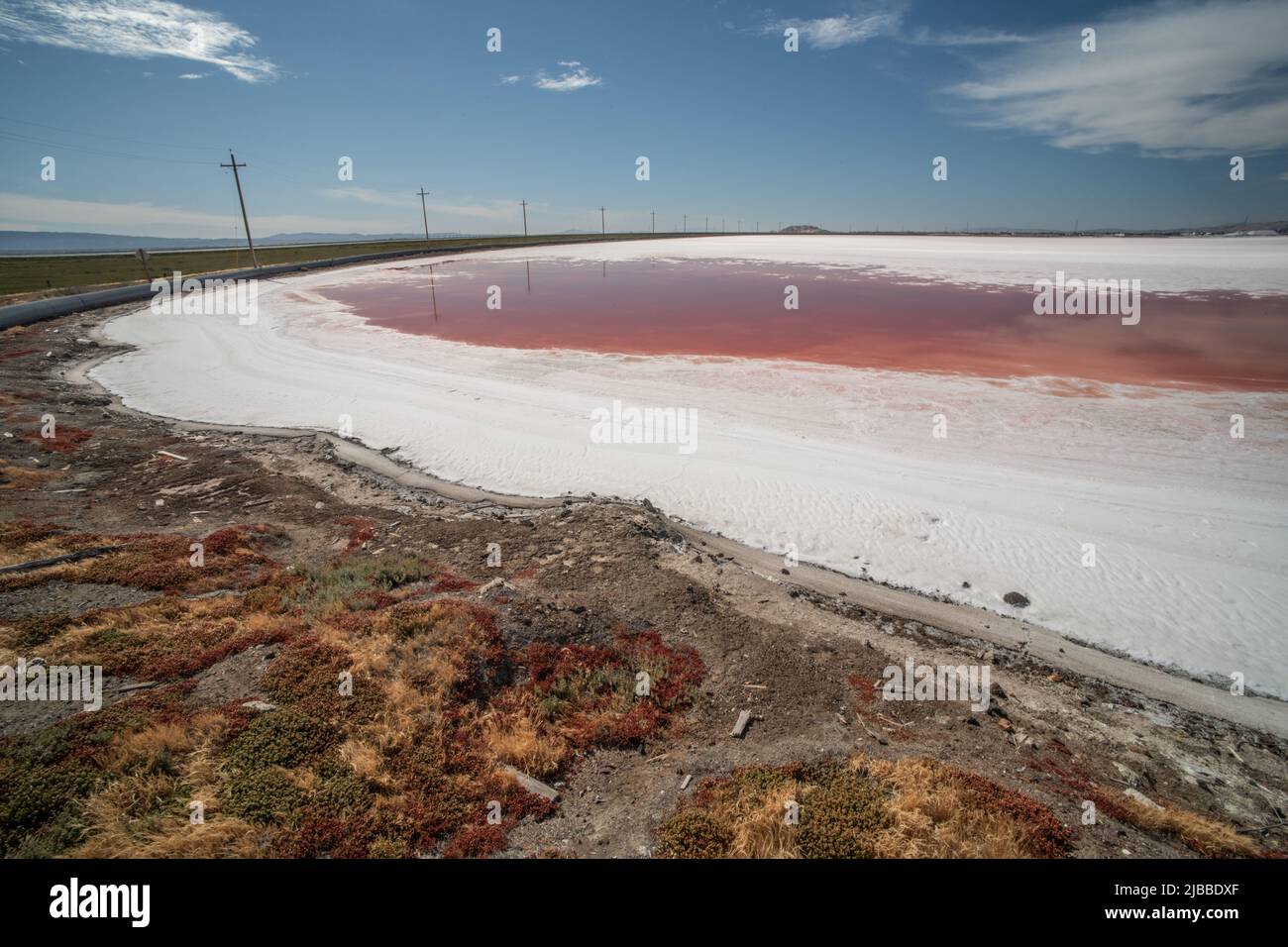 The edge of a salt evaporation pond saltmarsh vegetation grows around ...
