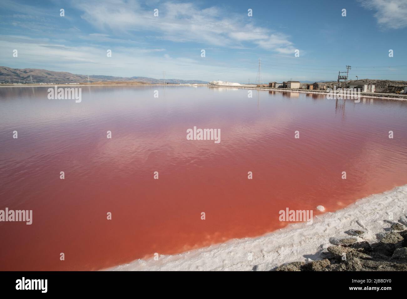 The water in salt ponds takes on a pink hue due to Dunaliella salina ...