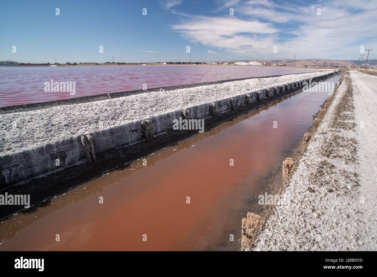 The water in salt ponds takes on a pink hue due to Dunaliella salina ...