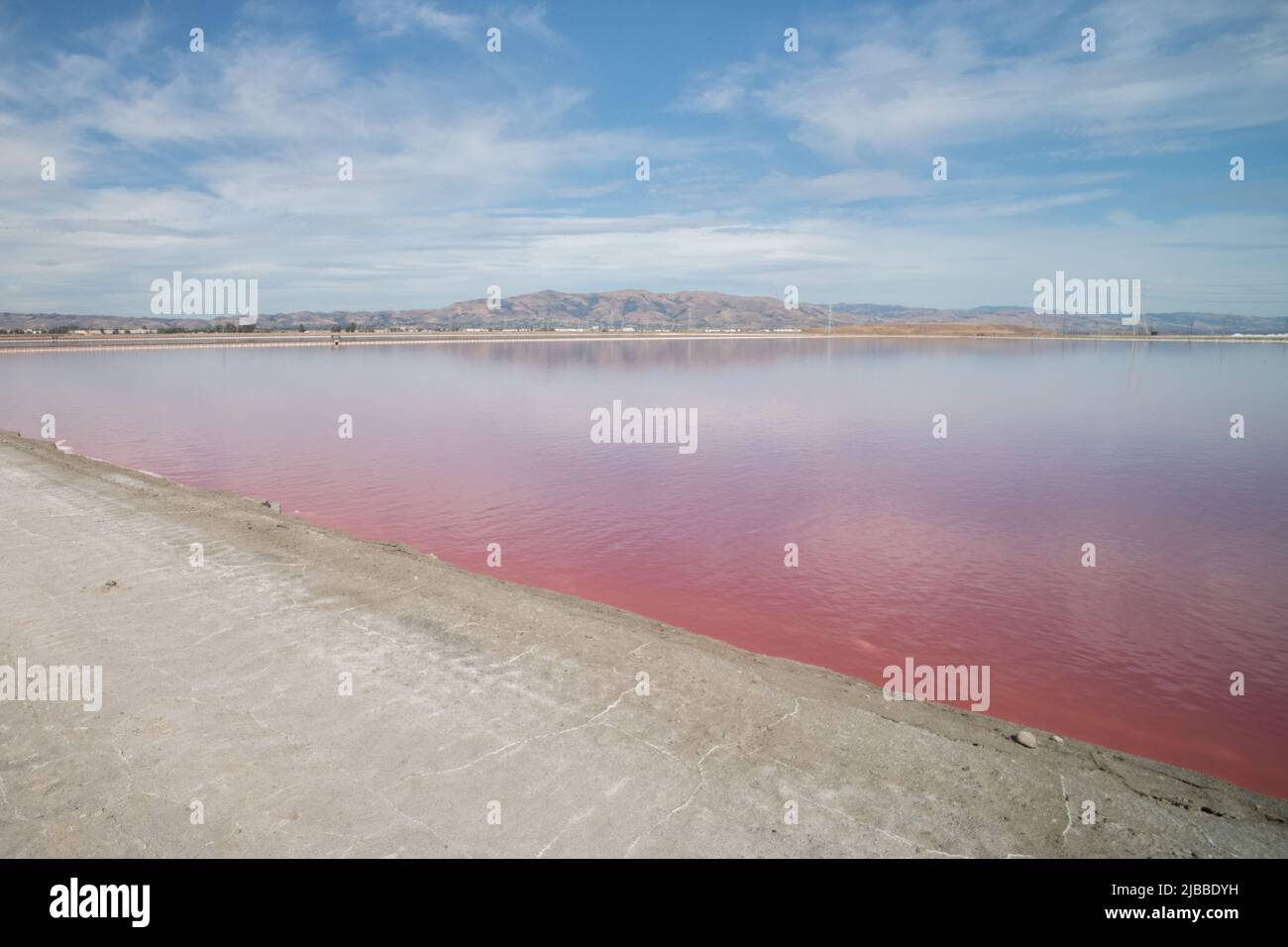 The water in salt ponds takes on a pink hue due to Dunaliella salina ...