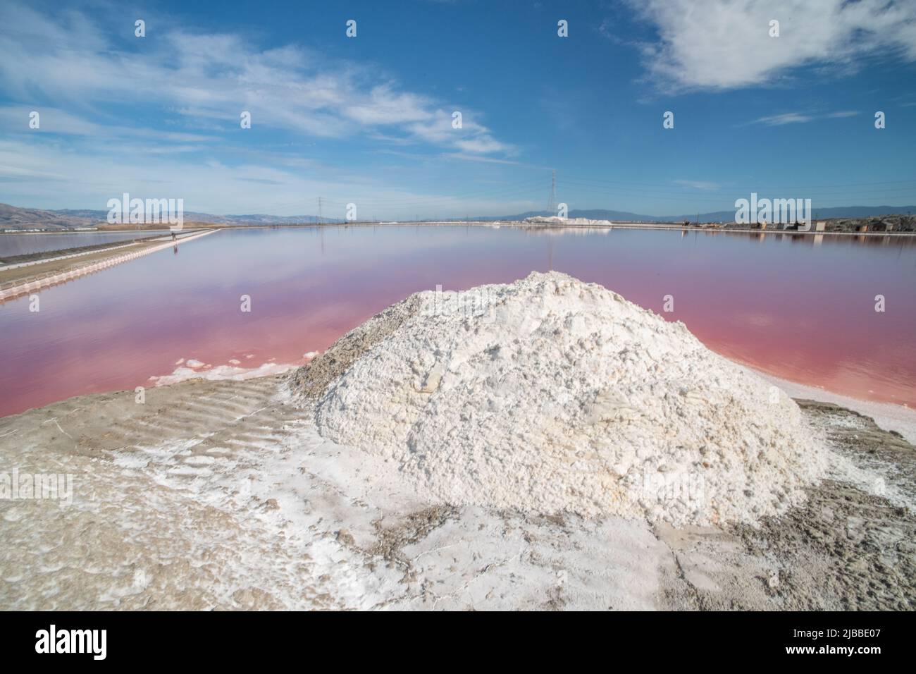 Dunaliella salina, a microorganism turns the water of a salt pond pink ...