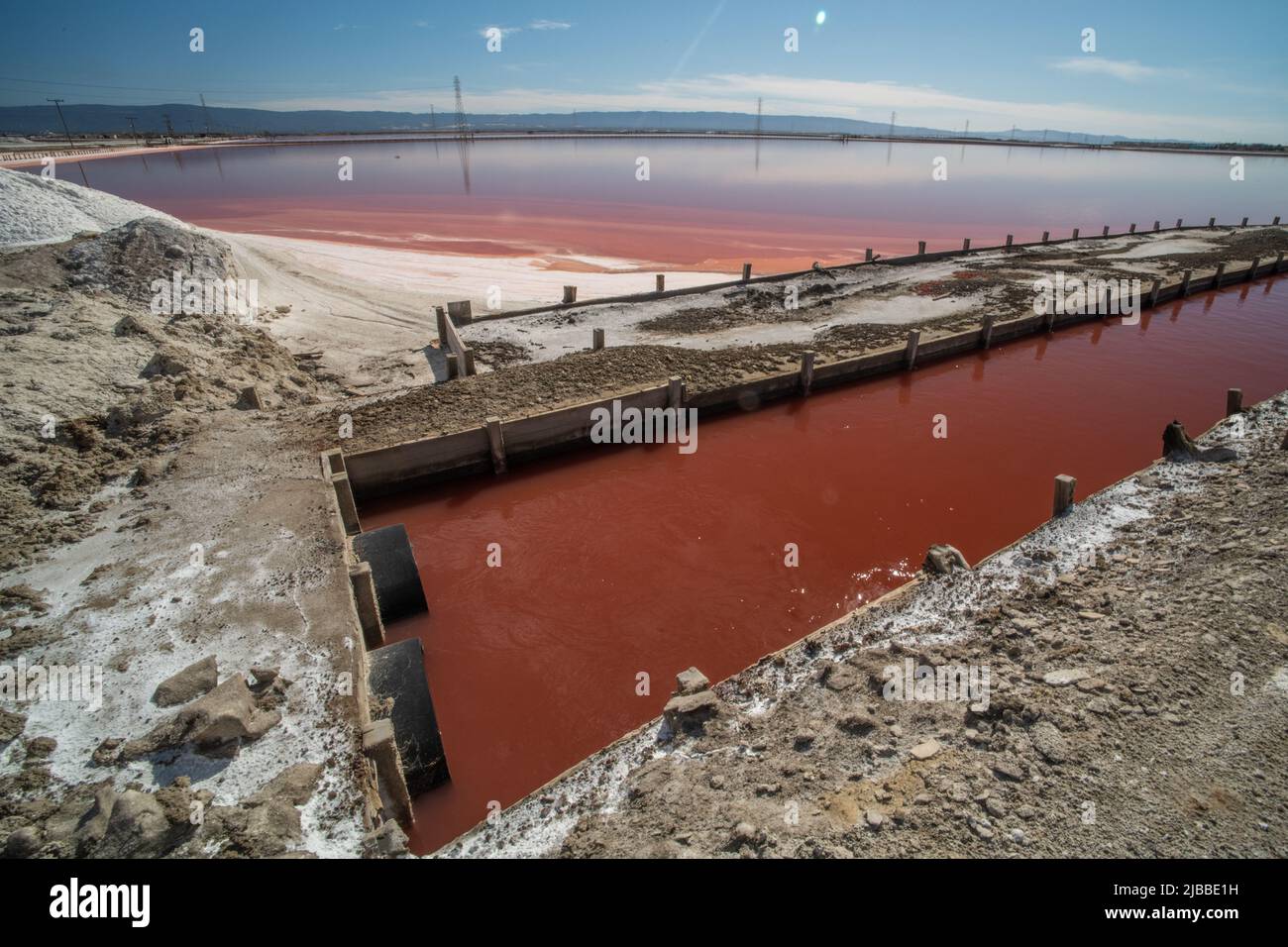The water in a salt pond takes on a pink hue due to Dunaliella salina ...