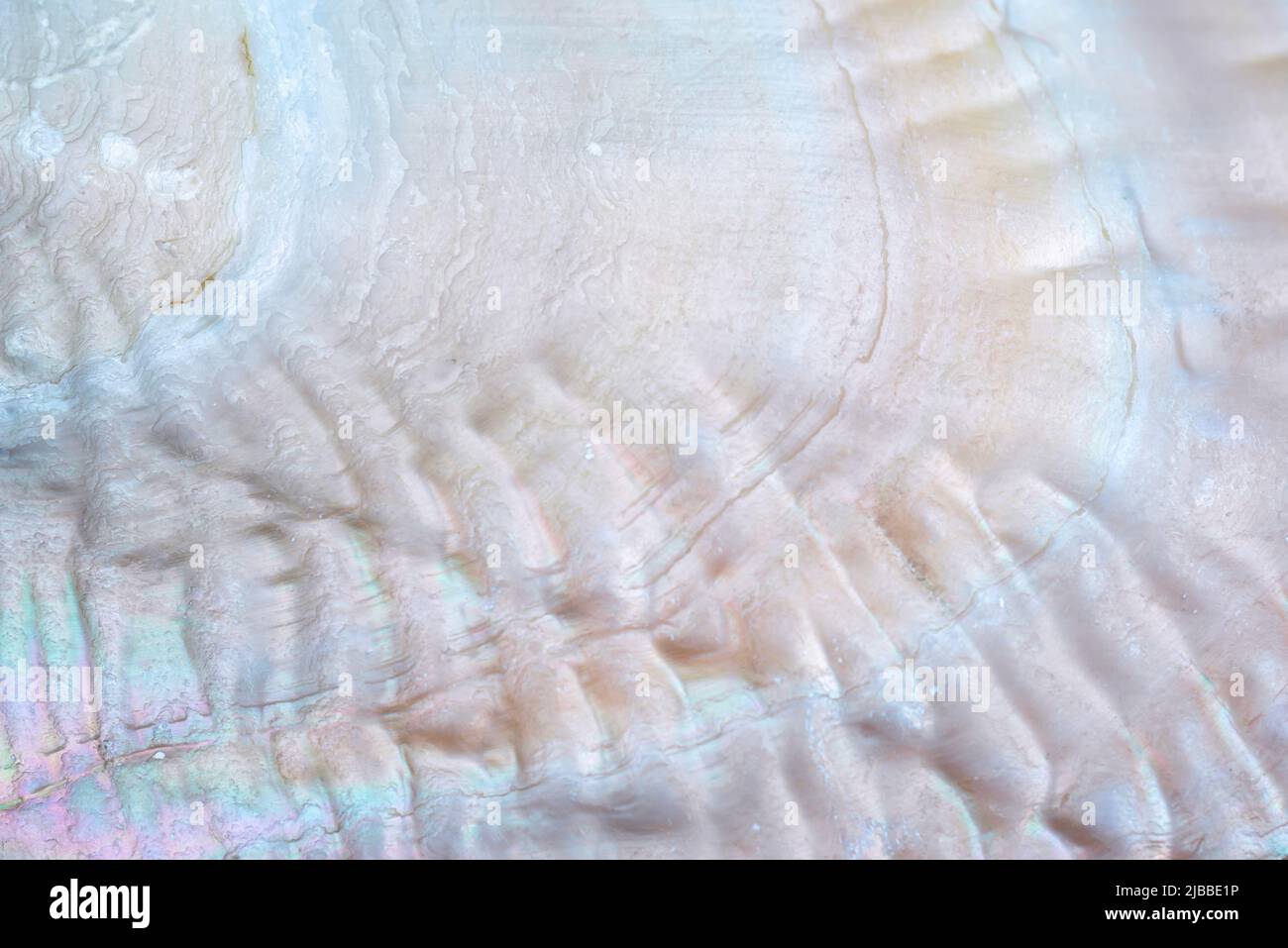 Pearl surface luxury background close up Stock Photo - Alamy