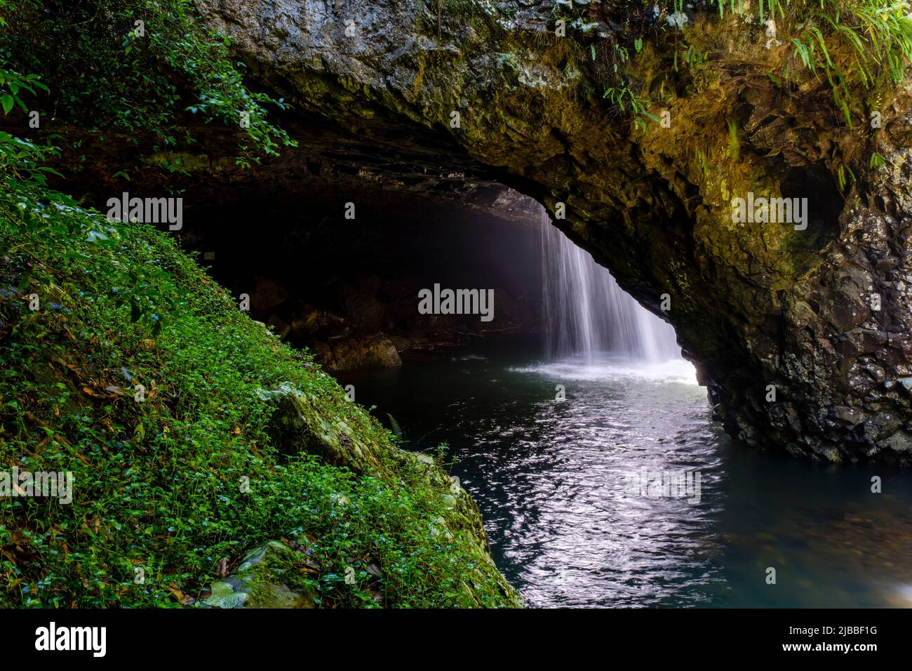 Springbrook natural bridge hi-res stock photography and images - Alamy