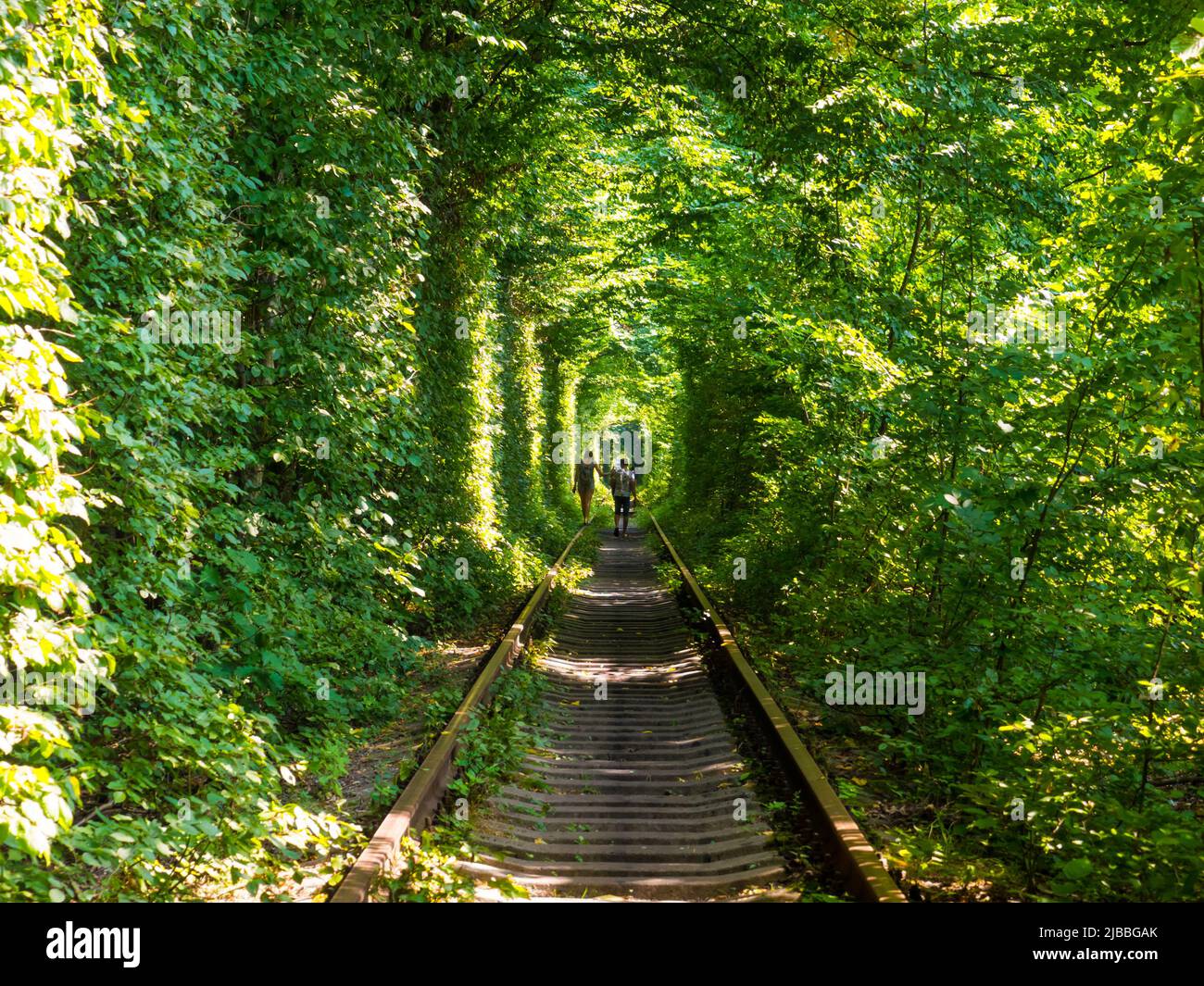 Scenic railway in the summer forest. Tunnel of love in Klevan, Ukraine ...