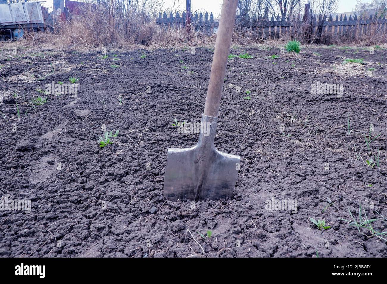 a shovel stuck in the ground on the infield.dig the ground.planting ...