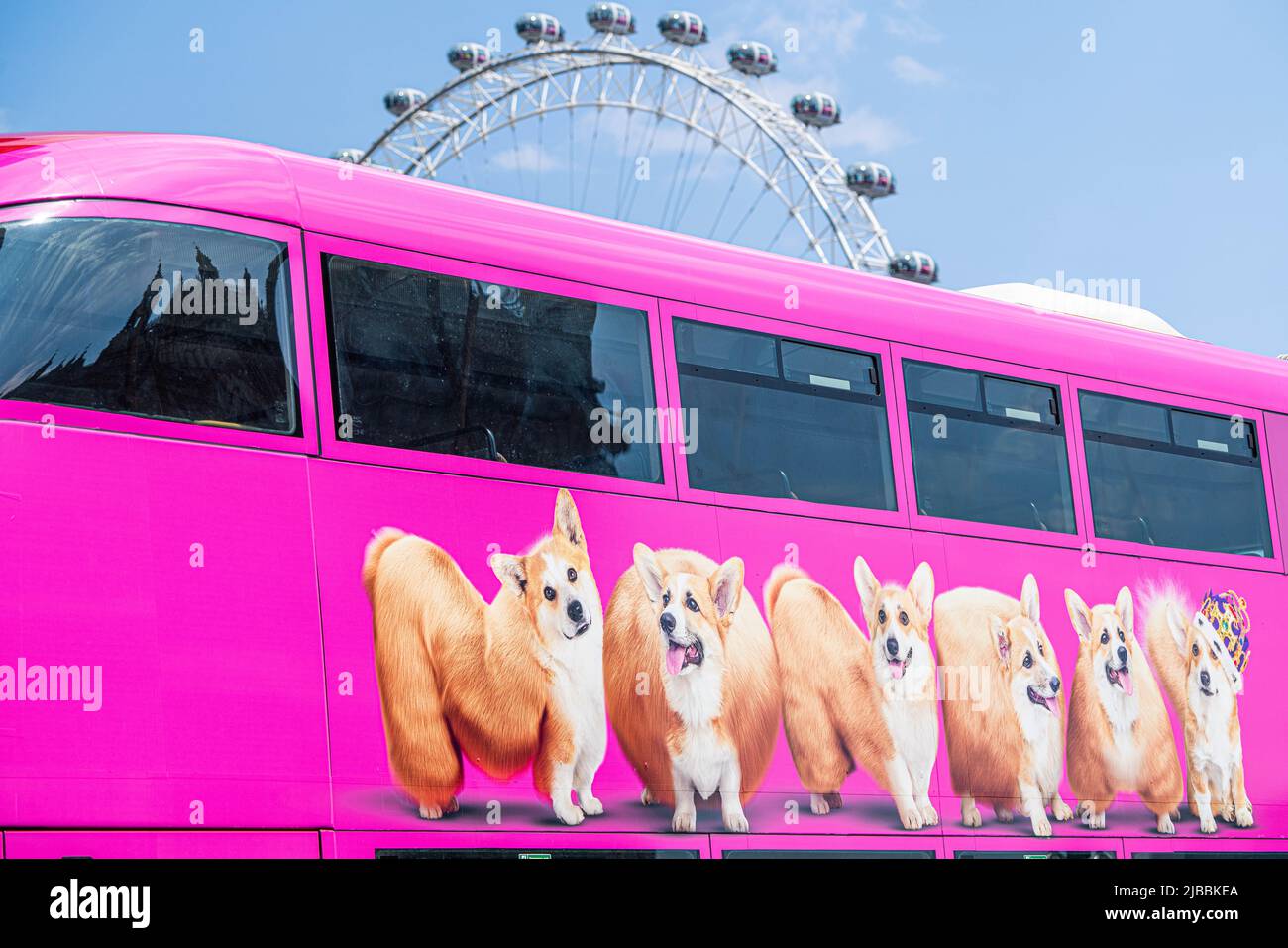 London UK, 4 June 2022. Corgis the Queen's favourite dogs are displayed ...