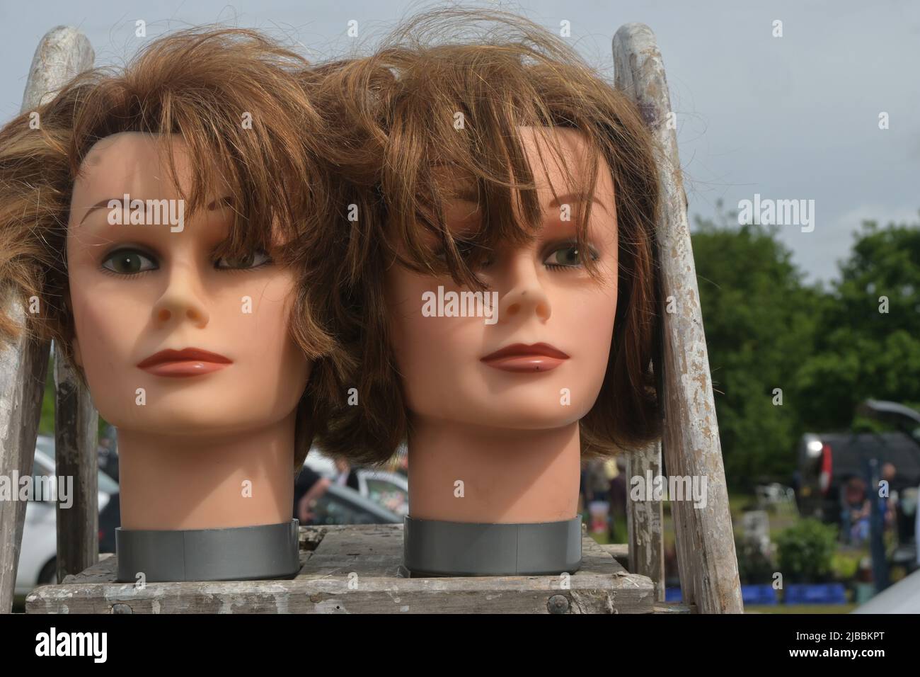 Female heads hi-res stock photography and images - Alamy