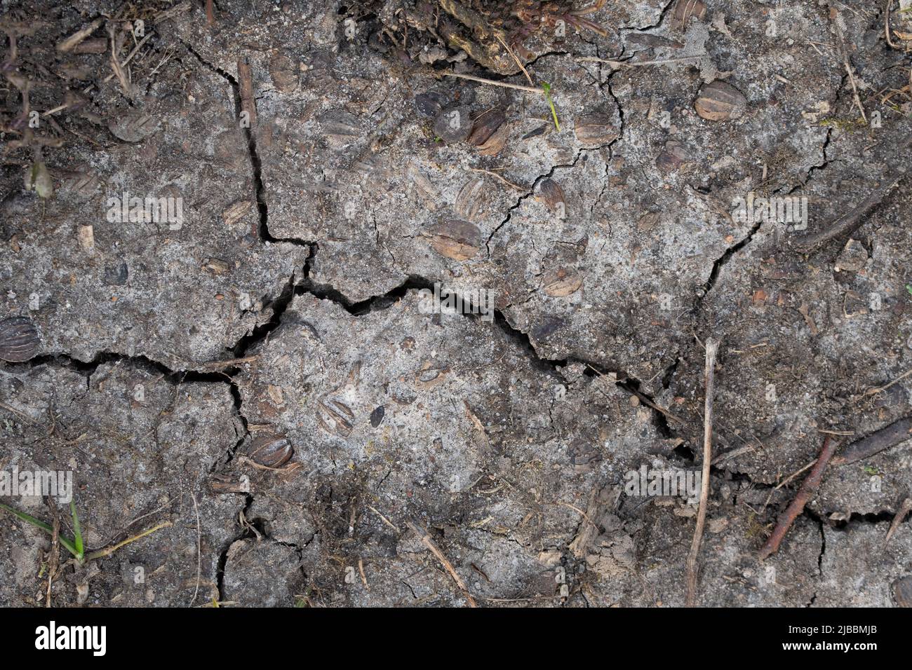 Surface crack land hi-res stock photography and images - Alamy