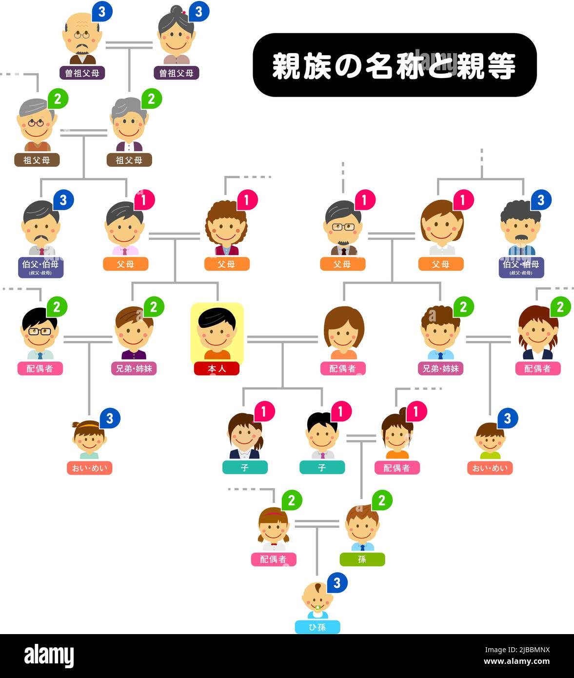 Family tree ( members of family ) vector illustration Stock Vector ...