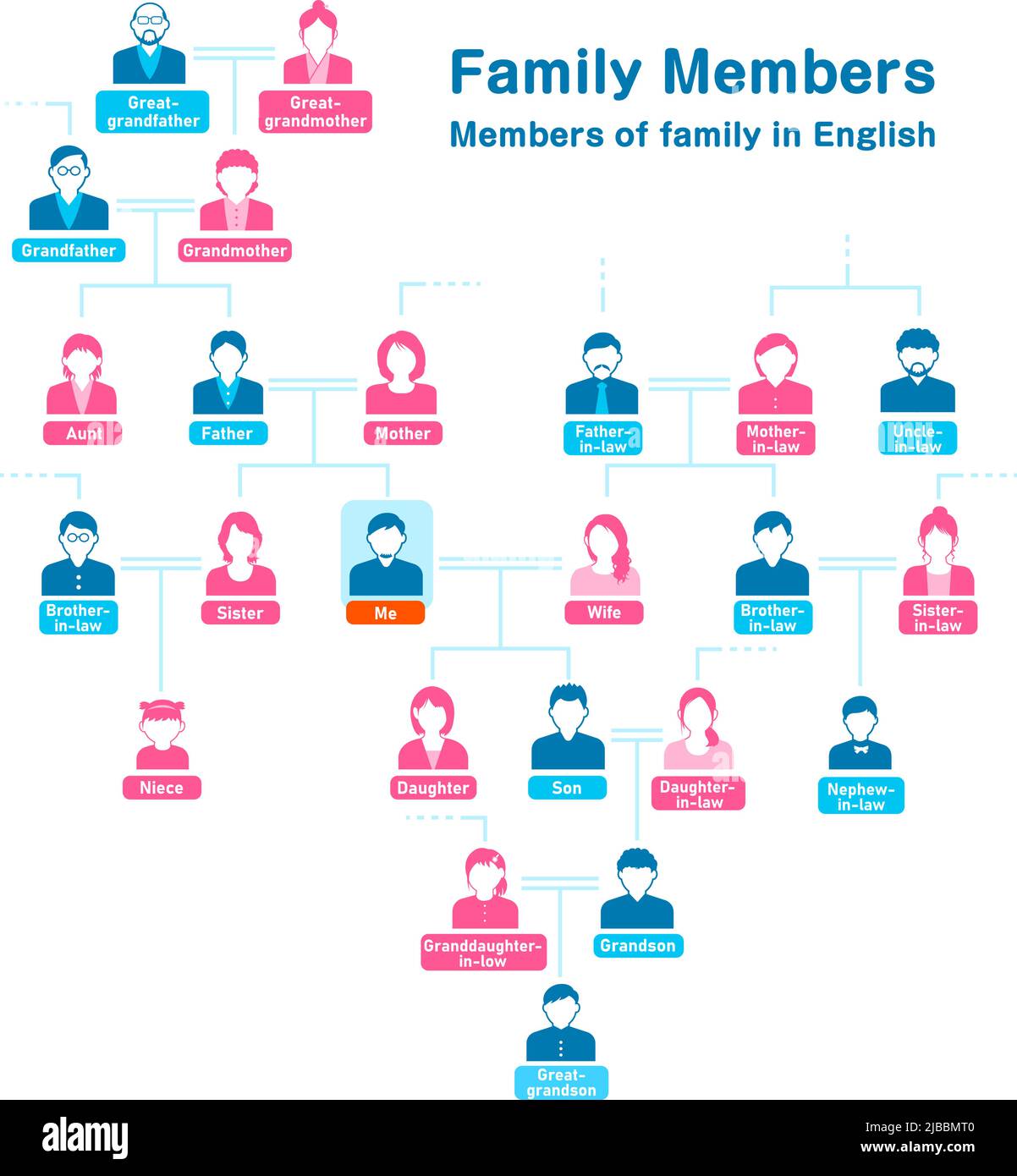 Family tree ( members of family ) vector illustration Stock Vector ...