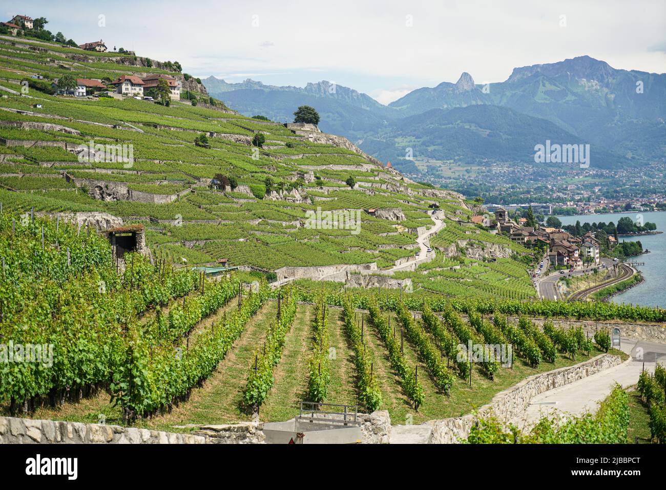 Lavaux, with its vineyard-covered terraces overlooking Lake Geneva, is ...