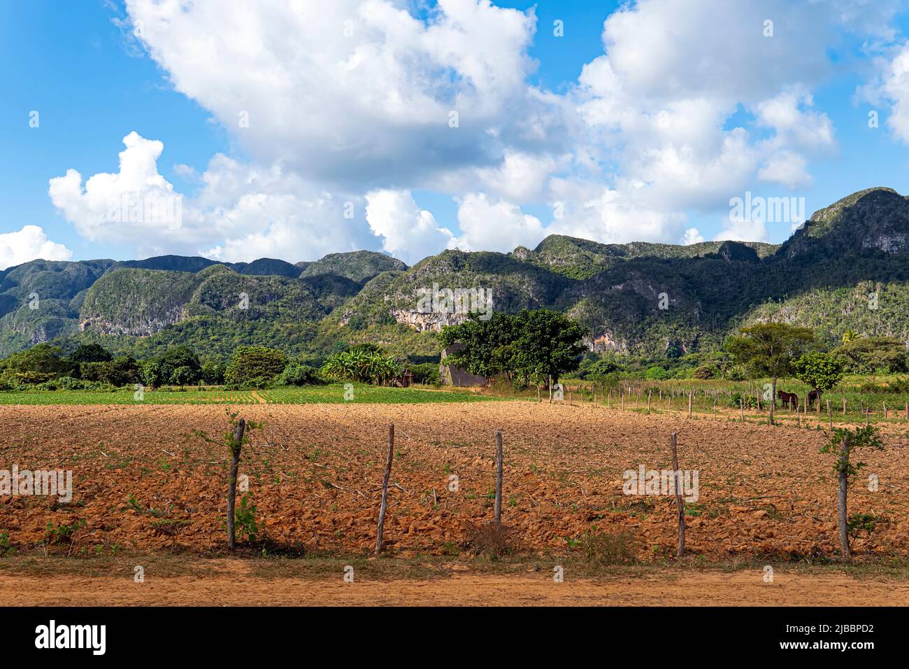 fields at the village. Empty field after harvesting. Red soil on the ...