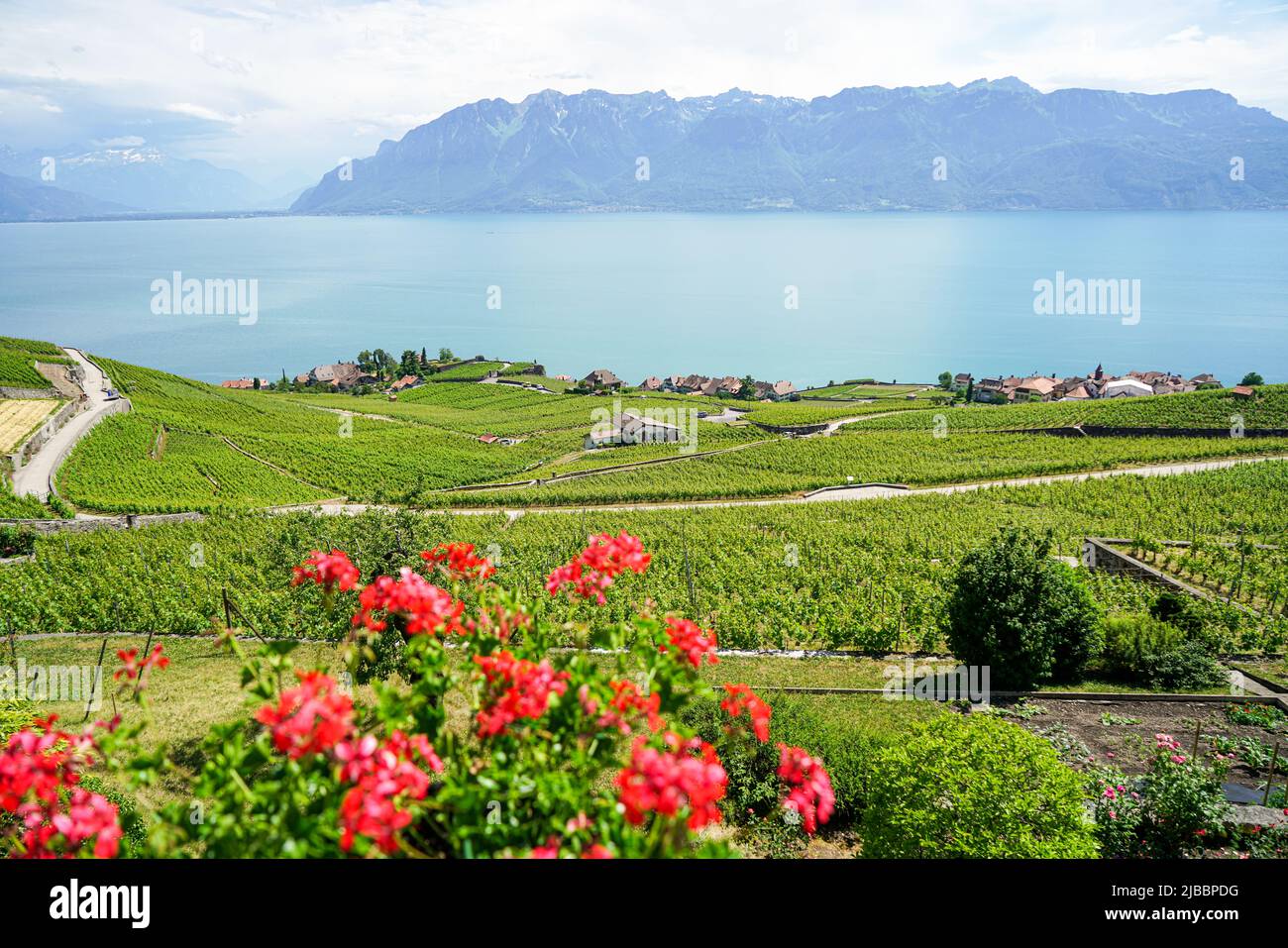 Lausanne swiss riviera wine tour hi-res stock photography and images ...