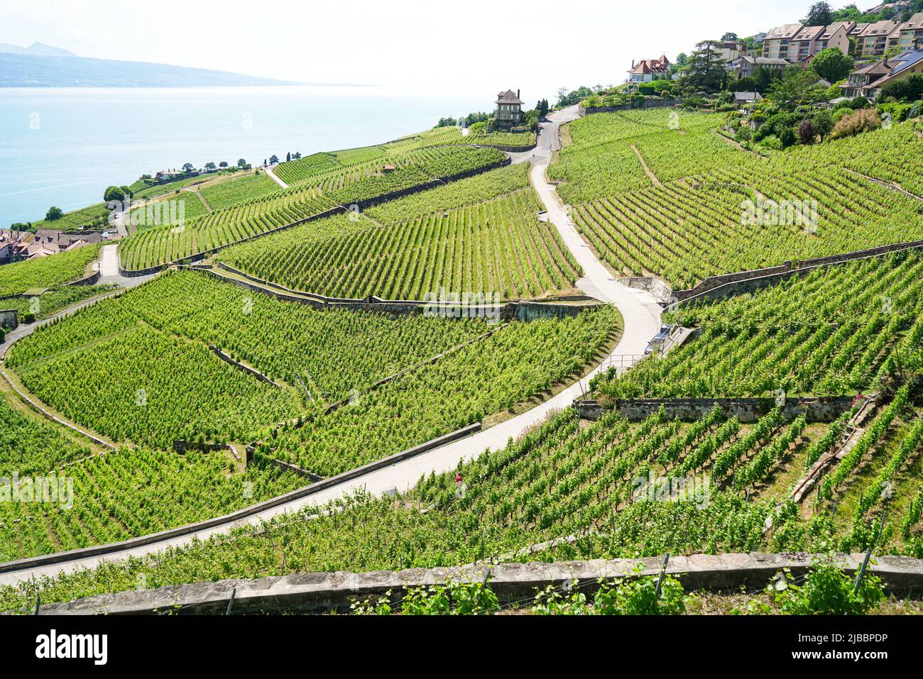 Lavaux, with its vineyard-covered terraces overlooking Lake Geneva, is ...