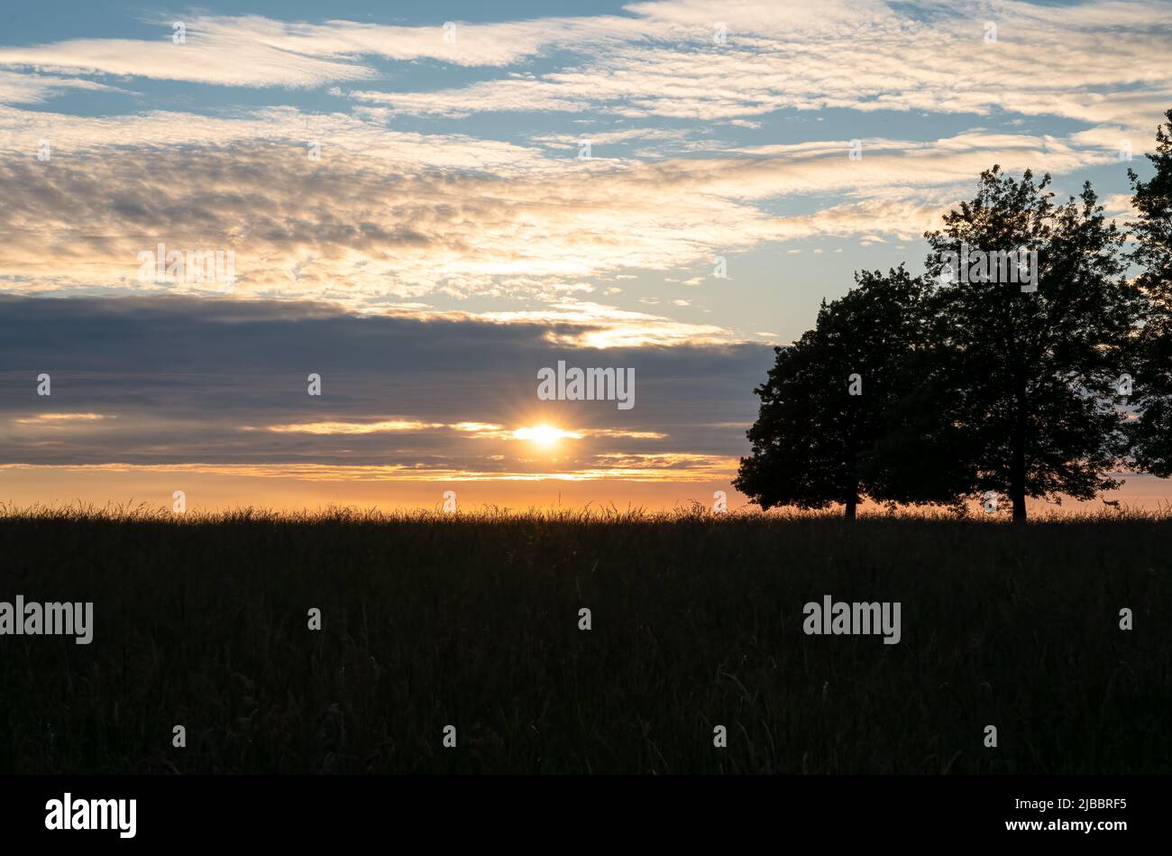 sunset with blue sky scattered cloud and foreground trees Stock Photo ...