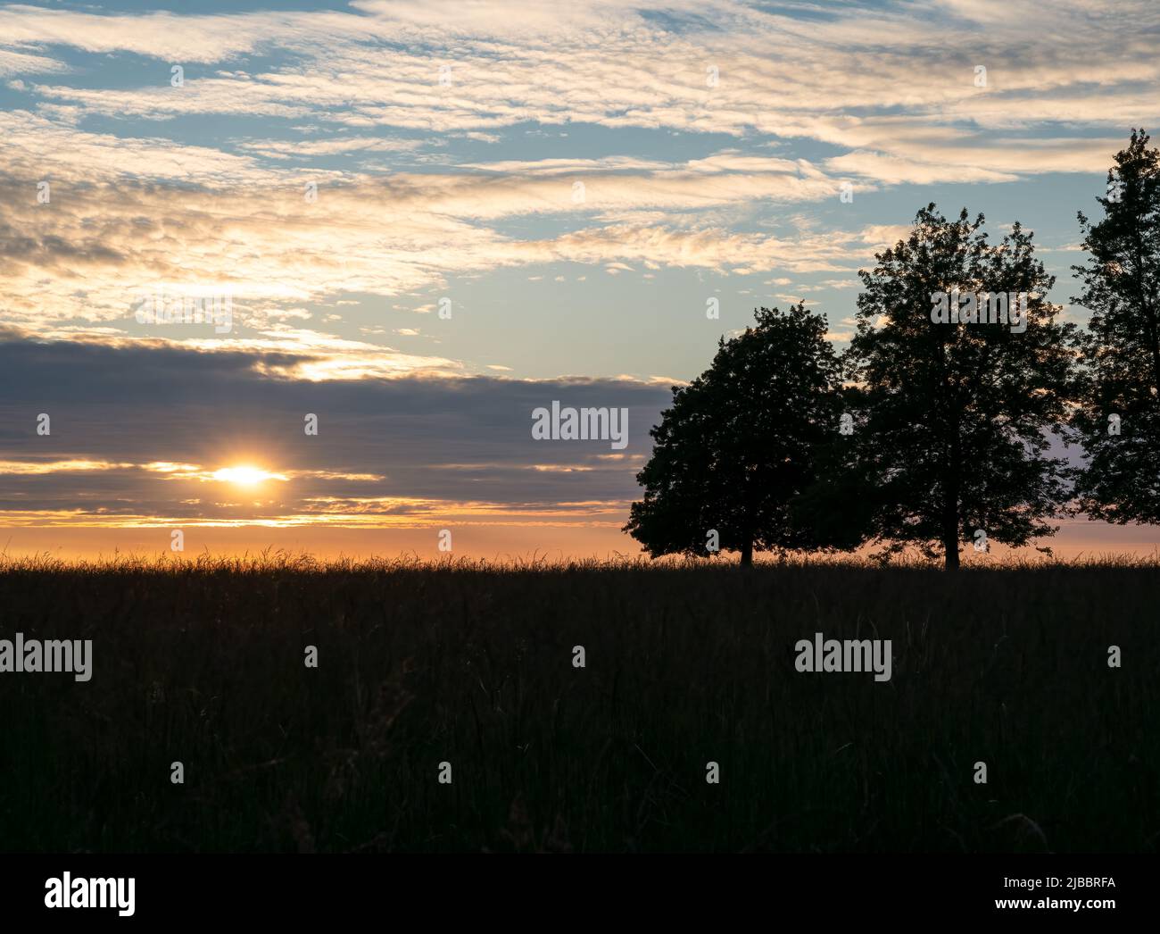 sunset with blue sky scattered cloud and foreground trees Stock Photo ...