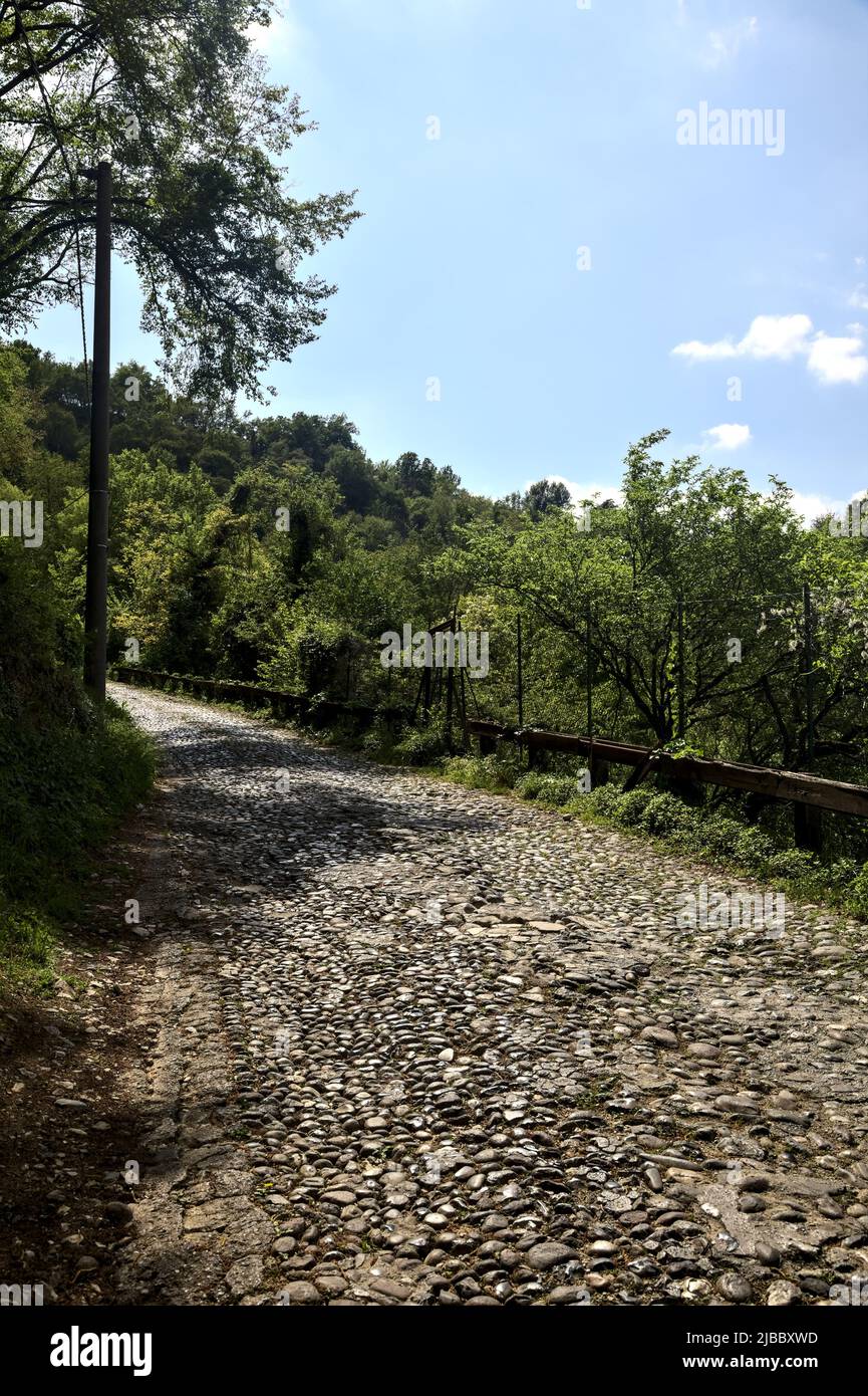 Uphill paved road in a forest with a clear sky with clouds clearly ...