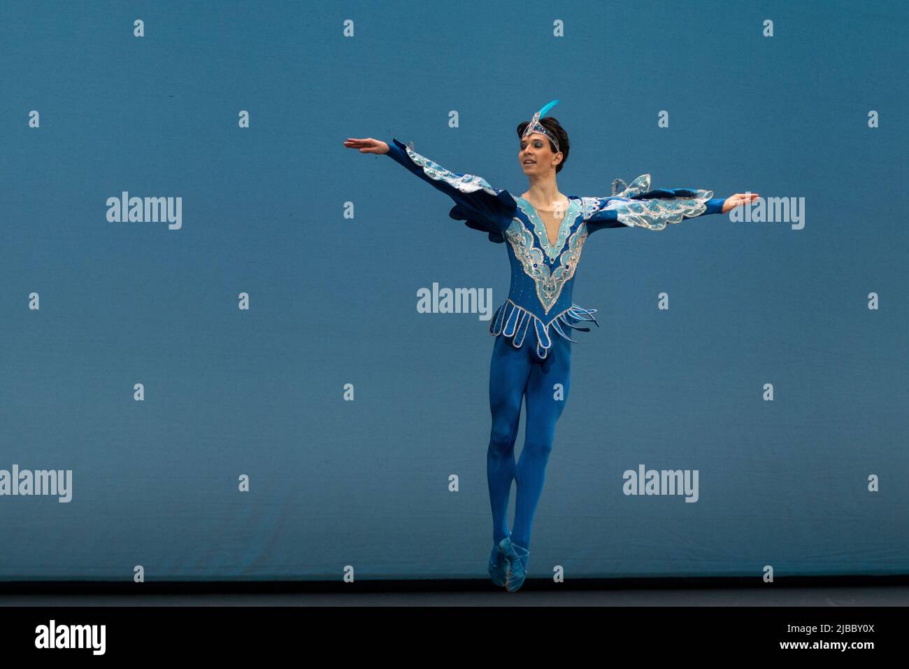 Blue bird sleeping beauty ballet hi-res stock photography and images ...