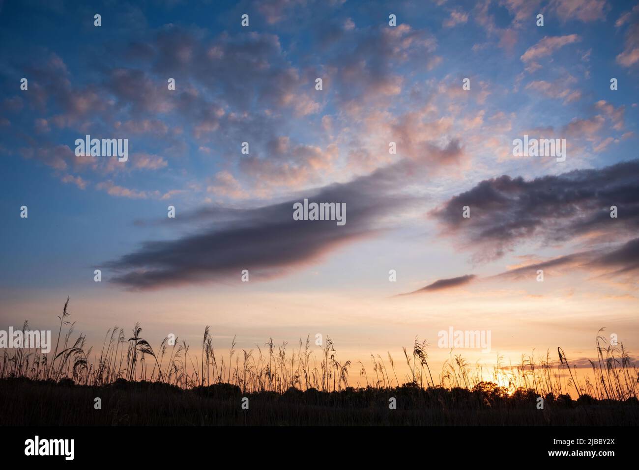Beautiful landscape sunset image of Somerset Levels wetlands in England ...