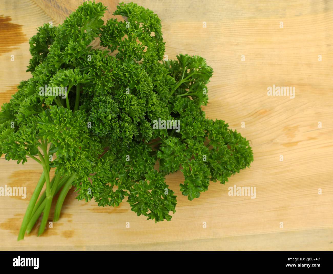 Bunch of curly parsley on a wooden background. Fresh green parsley top ...