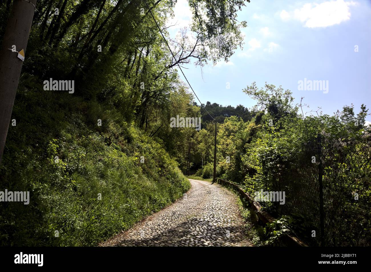 Uphill paved road in a forest with a clear sky with clouds clearly ...