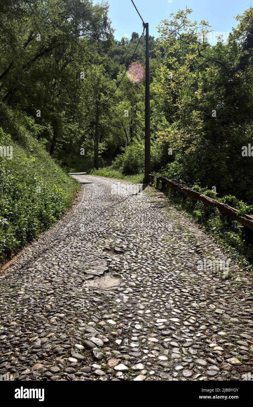 Uphill paved road in a forest with a clear sky with clouds clearly ...