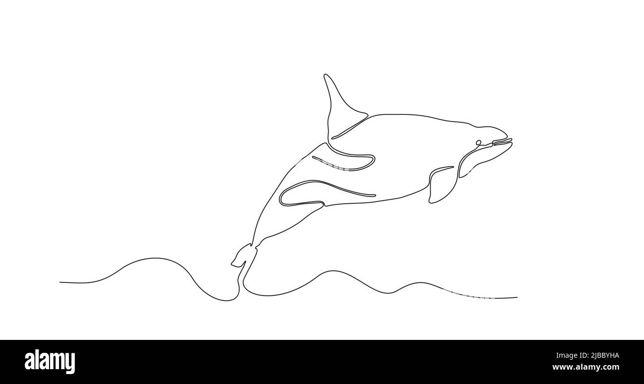 Big orca is swimming in sea. One black line drawing orca on white ...