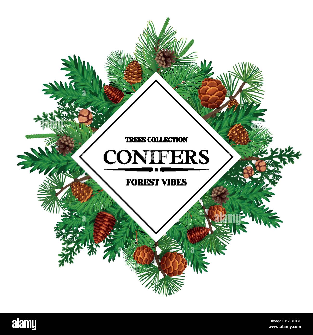 Pine tree frame with forest conifers and cones flat vector illustration ...