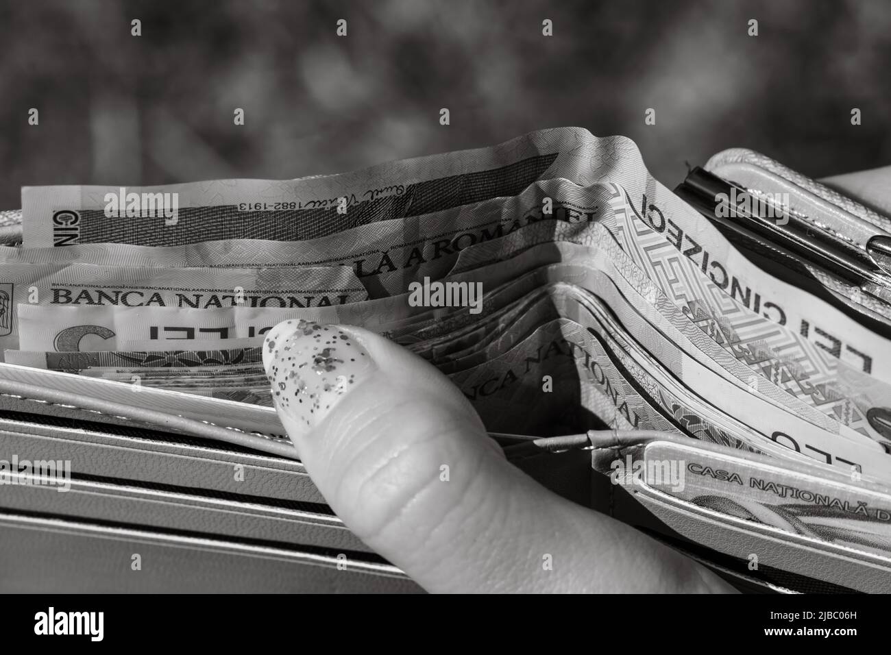 Romania LEI money. Romanian LEI currency Stock Photo - Alamy