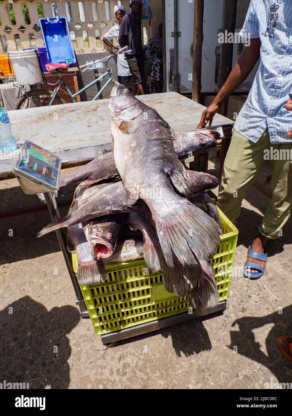 Dar es Salaam, Tanzania - February 2021: A fisherman sells a huge fish ...