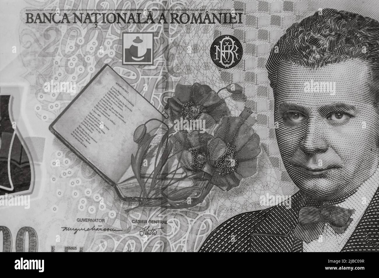 Romania LEI money. Romanian LEI currency Stock Photo - Alamy