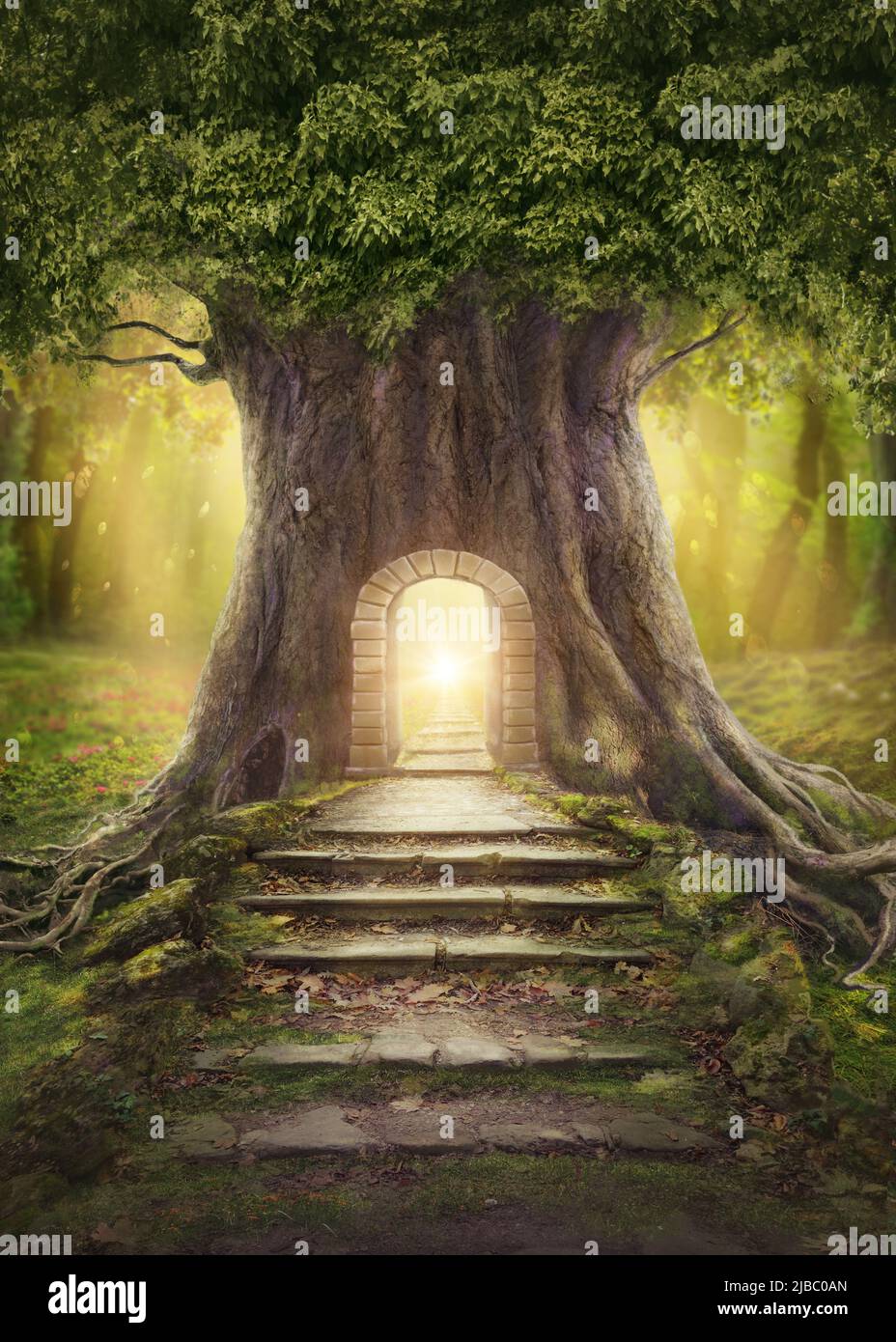Big tree with magic entrance Stock Photo - Alamy