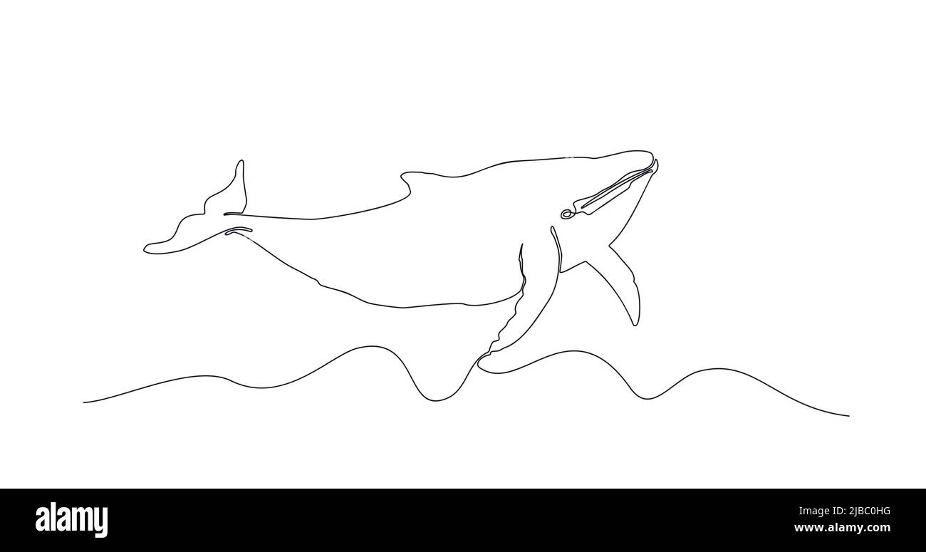 Whale watching sign Stock Vector Images - Alamy