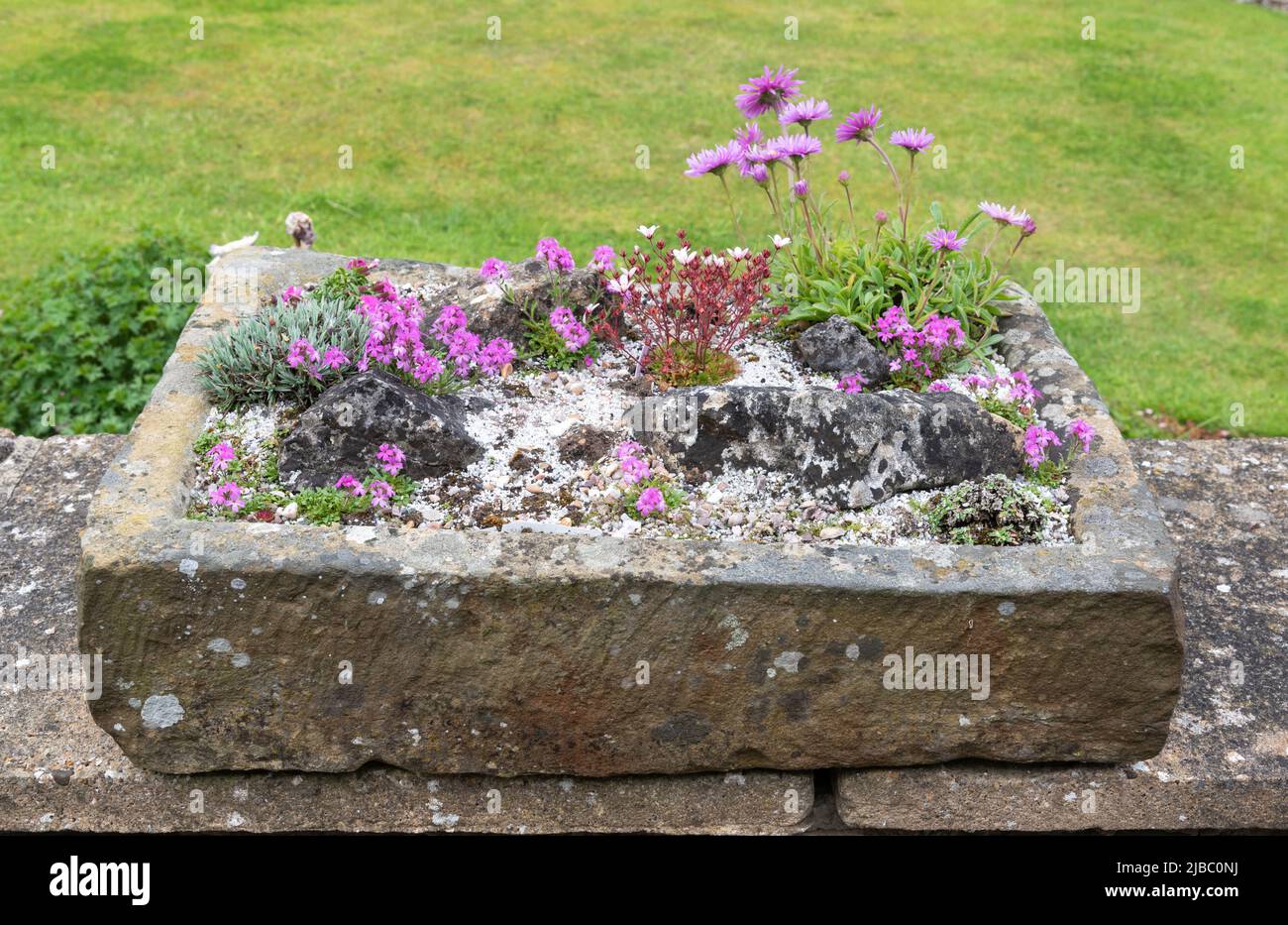 Alpine planter hi-res stock photography and images - Alamy
