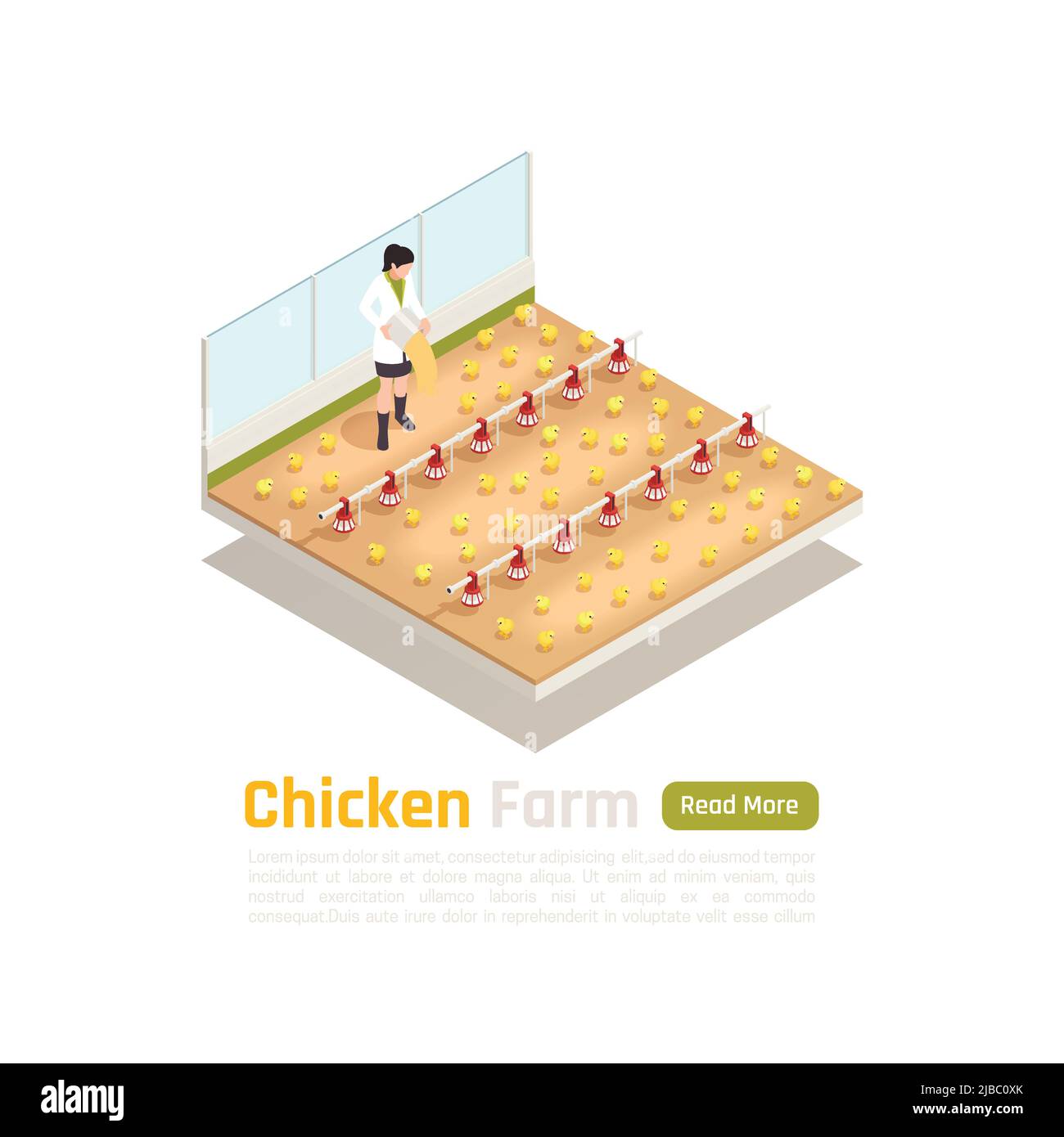 Broiler poultry stock production isometric composition with modern ...