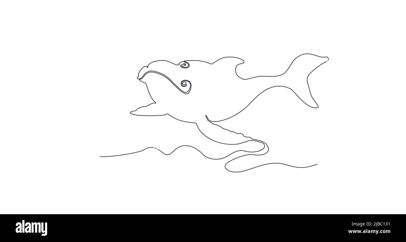 Big whale is swimming in sea. One black line drawing whale on white ...