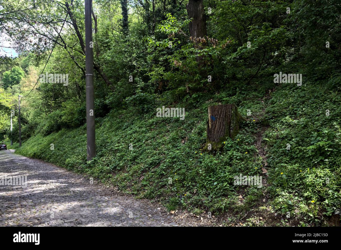Shady alley in mountain hi-res stock photography and images - Alamy