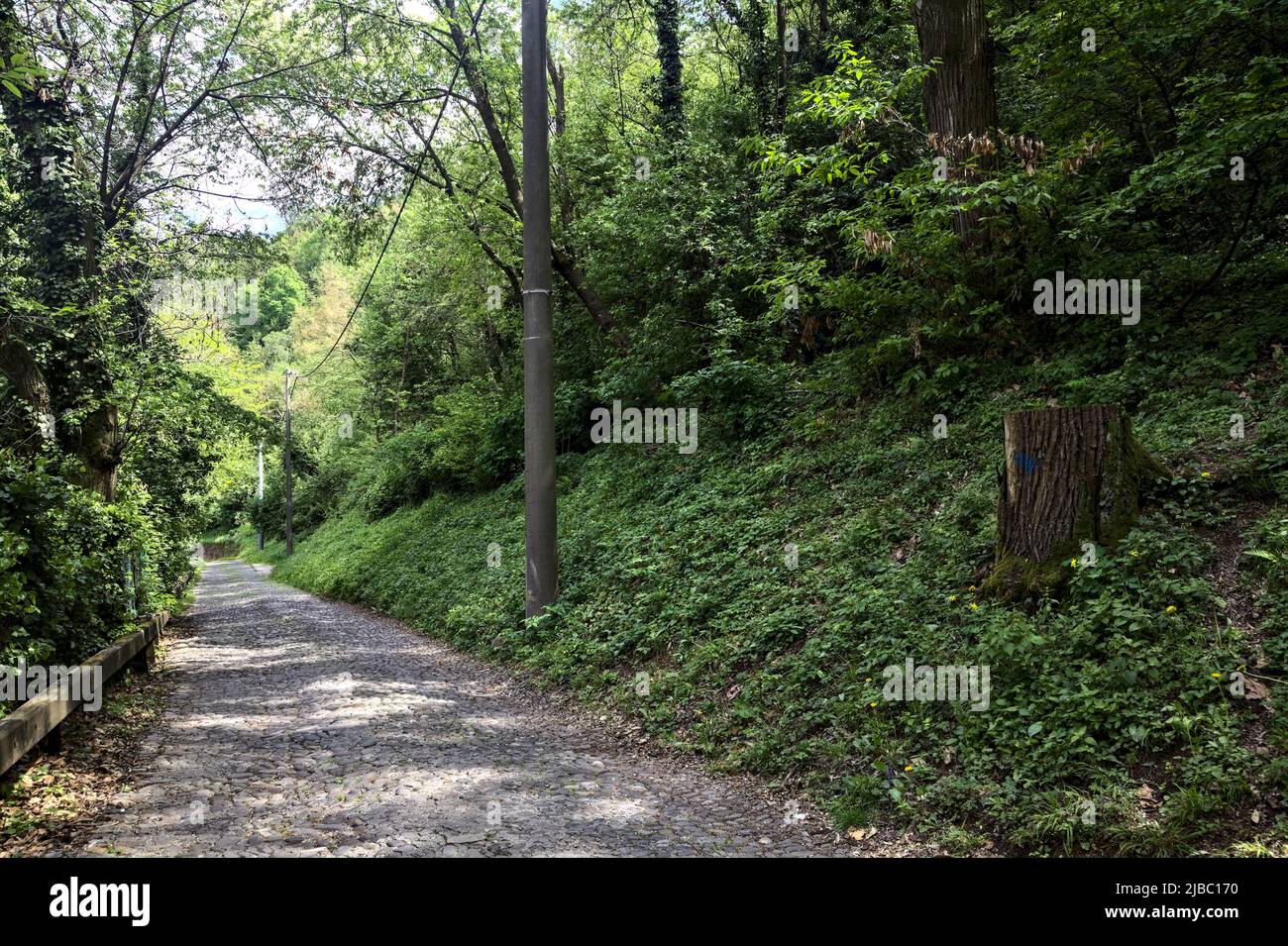 Shady alley in mountain hi-res stock photography and images - Alamy