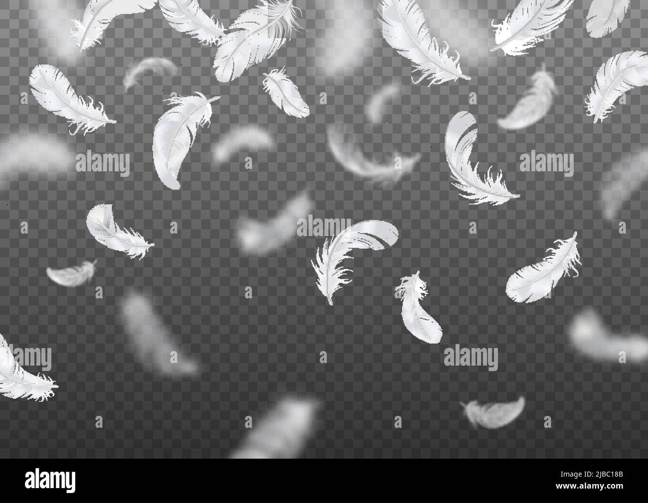 Isolated and realistic falling feather background white feathers fly on ...