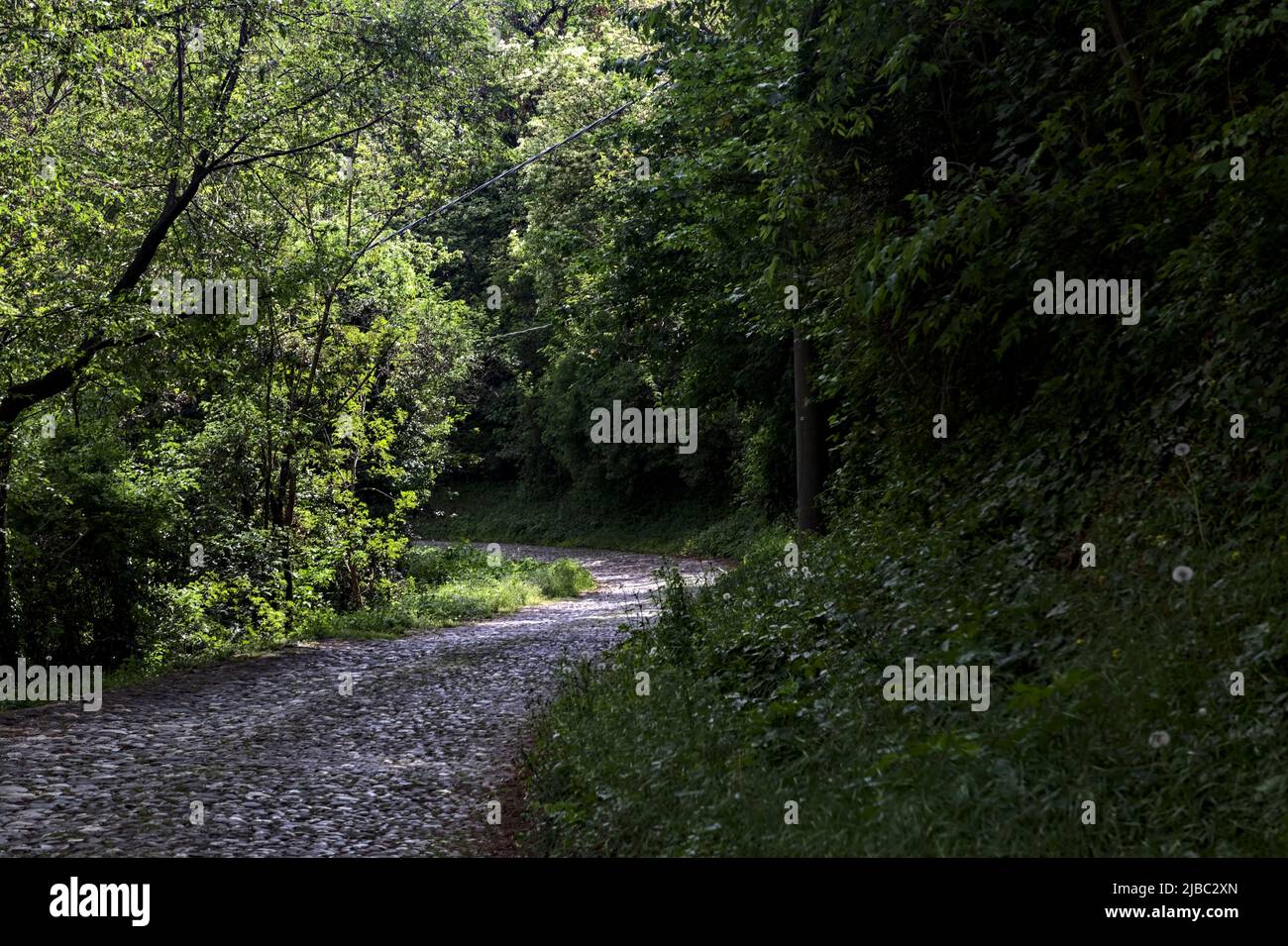 Shady alley in mountain hi-res stock photography and images - Alamy