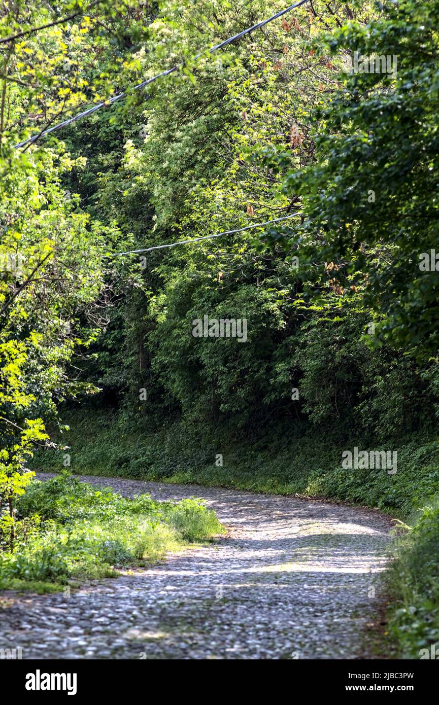 Shady alley in mountain hi-res stock photography and images - Alamy