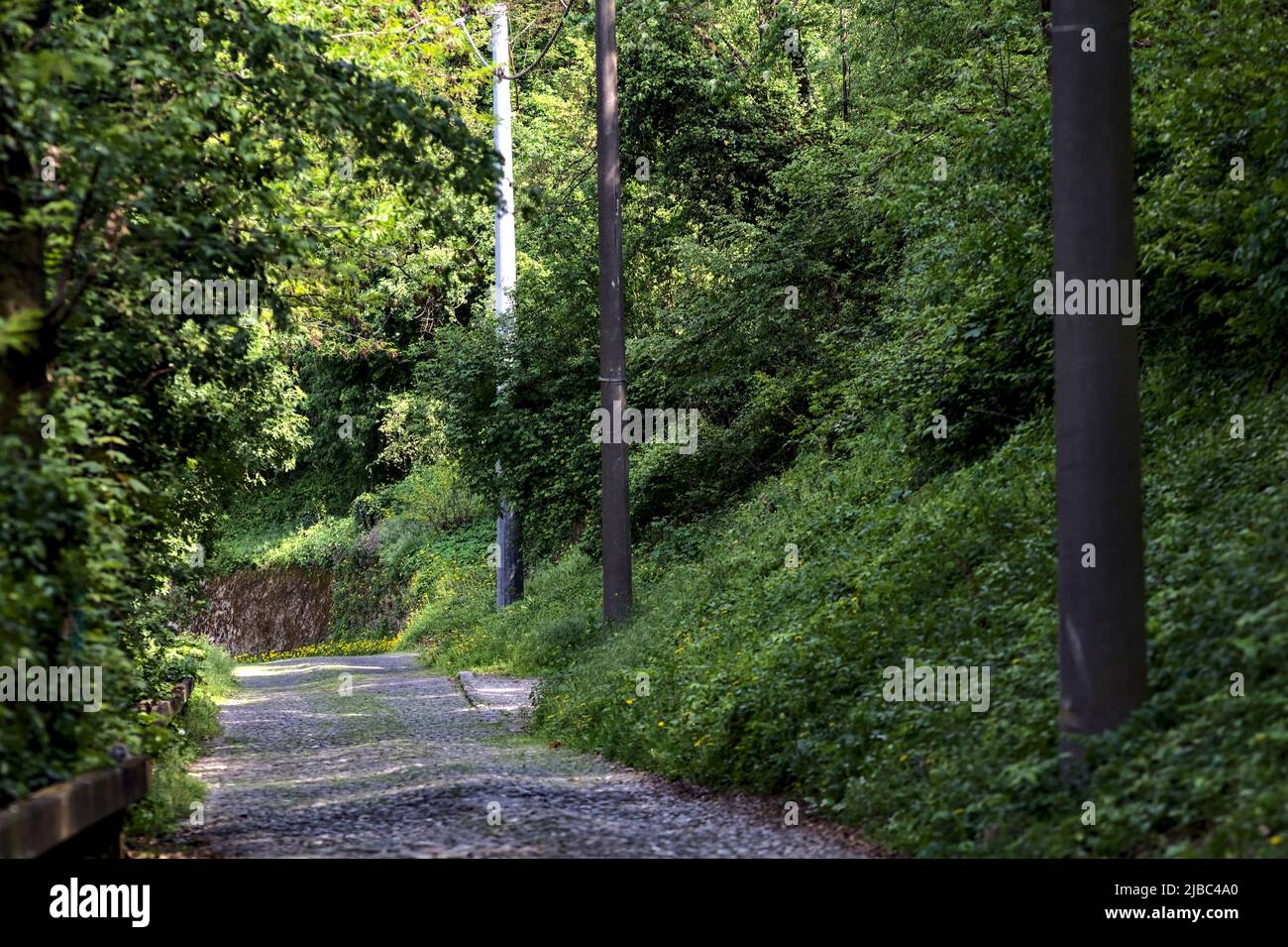 Shady alley in mountain hi-res stock photography and images - Alamy