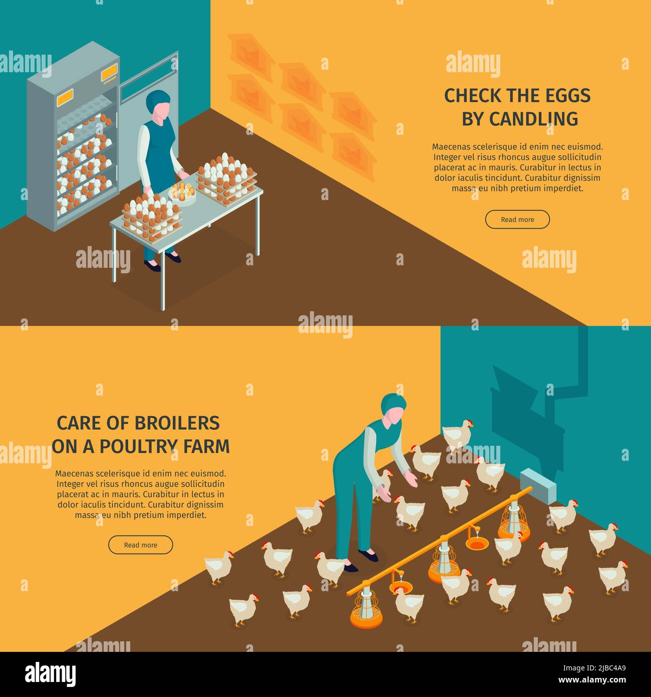 Isometric poultry farm horizontal banners set with editable text ...