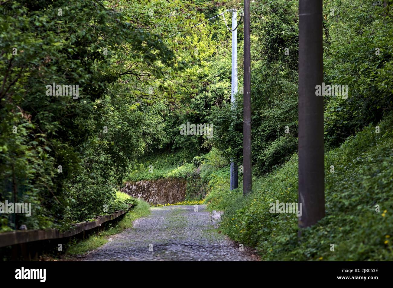 Shady alley in mountain hi-res stock photography and images - Alamy