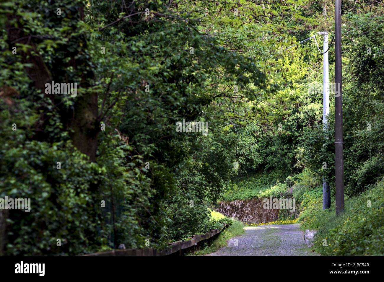 Shady alley in mountain hi-res stock photography and images - Alamy