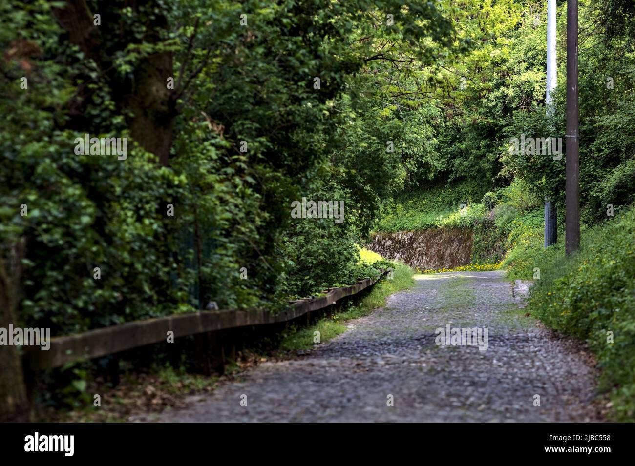 Shady alley in mountain hi-res stock photography and images - Alamy