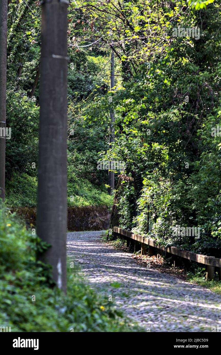 Shady alley in mountain hi-res stock photography and images - Alamy