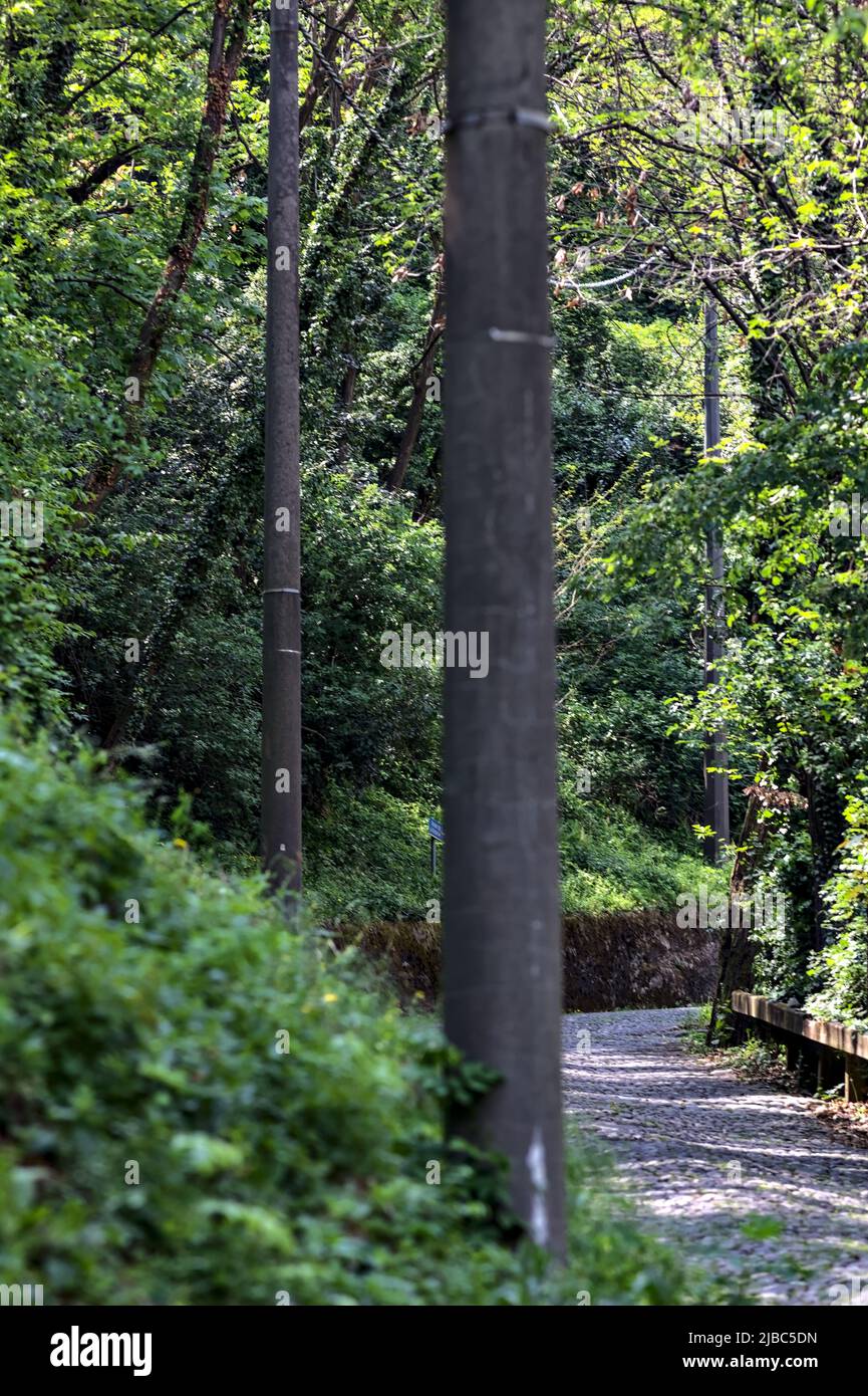 Shady alley in mountain hi-res stock photography and images - Alamy