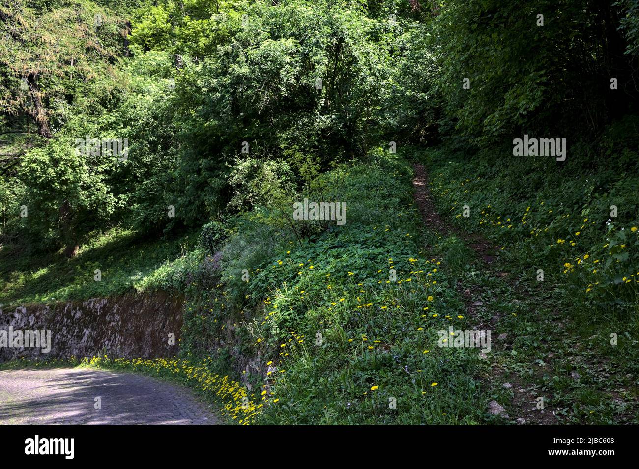 Shady alley in mountain hi-res stock photography and images - Alamy